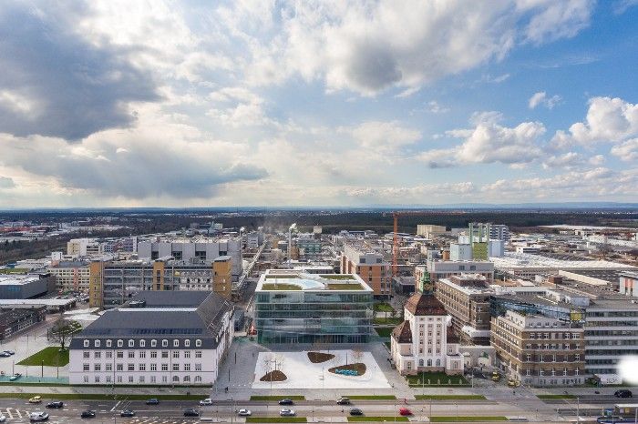 Pimicotinib demonstrates best-in-class potential in TGCT | The Pharmaletter