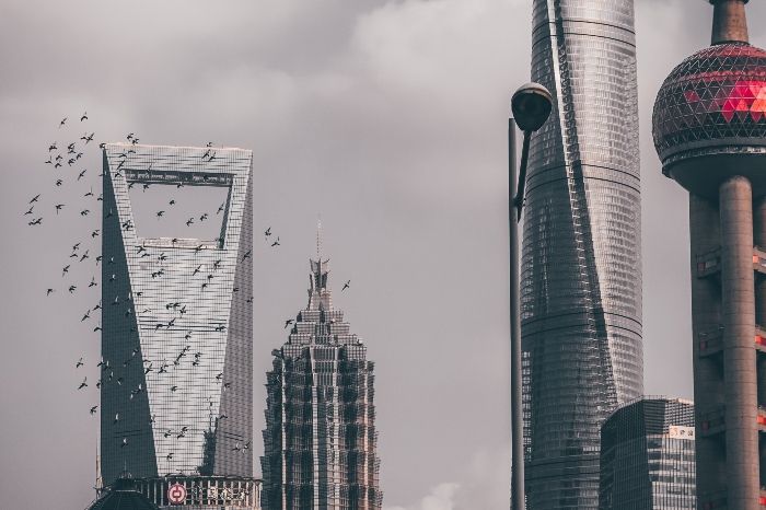 NewCo model gains traction among Chinese biotechs | Biotechnology | The ...