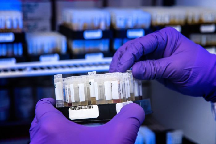 Nucleome names Michelle Morrow as chief scientific officer ...