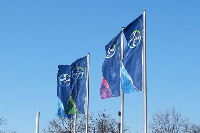 Bayer brings WRN blocker fully in-house after Roche handover ...