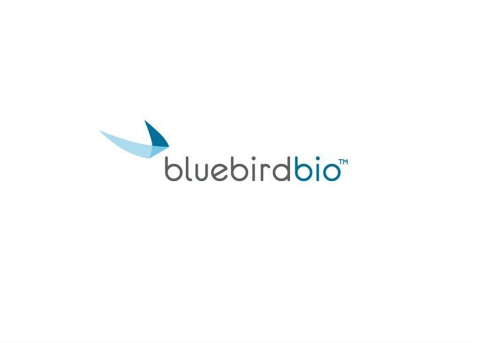 Private equity firms rescue bluebird bio out of its misery | The ...