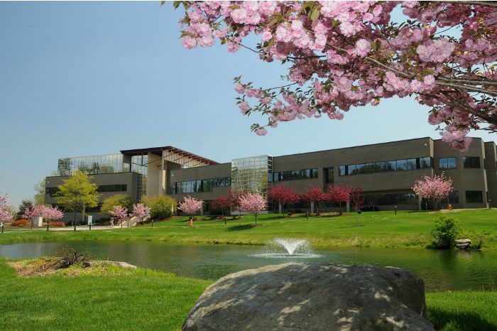 Qfitlia scores a first with FDA approval | The Pharmaletter