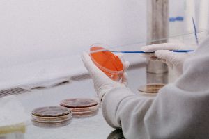 $1 billion deal for oncology combo developed by Elevar and Hengrui ...