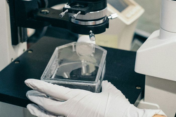 Mixed regulatory progress for rare disease drug leriglitazone ...