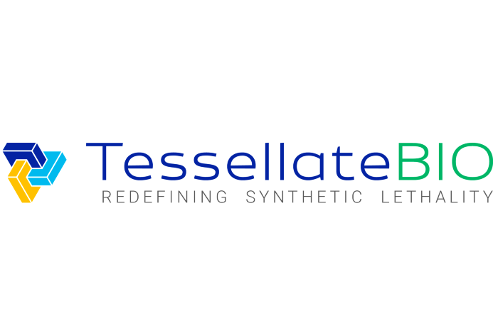 Dutch start-up Tessellate BIO names Lara Boyd as CBO | Biotechnology ...