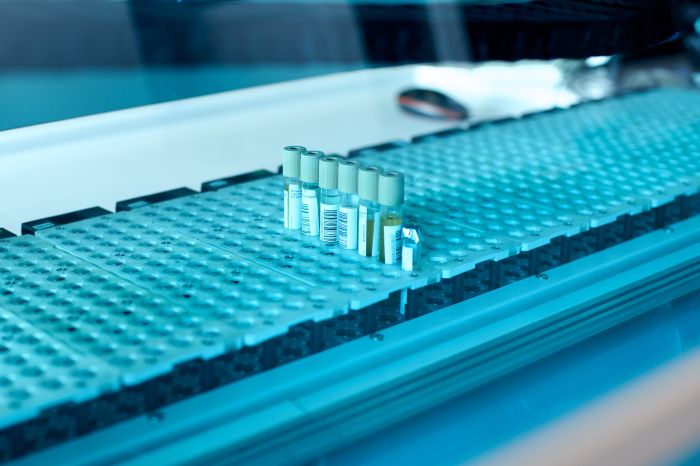 Positive results for Microbion’s new diabetic foot ulcer drug ...