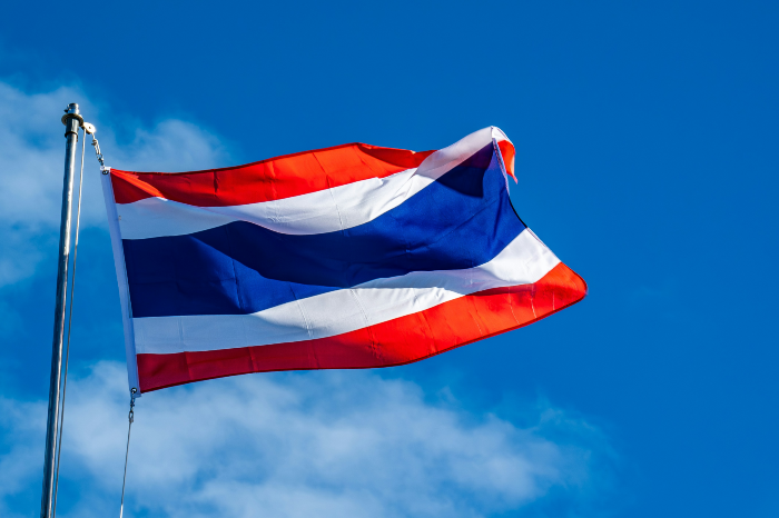 Eisai receives Thai approval for gout drug Urece | Pharmaceutical | The ...